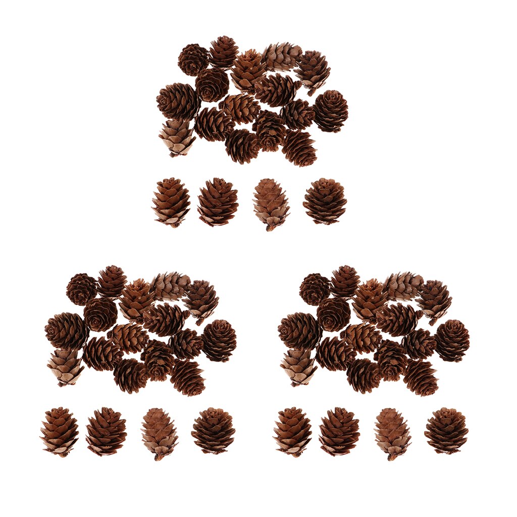 MagiDeal 60 Pieces/Pack Natural Decorative Pine Co... – Grandado