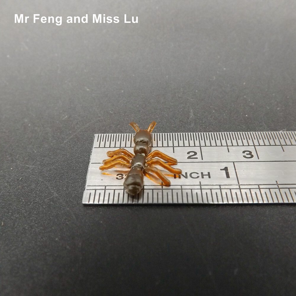 Insects Toy Model Plastic Tiny Ant Toy Children Ed... – Vicedeal