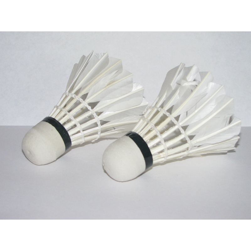 Led Light-Up Badminton Birdies (Set Van 2) Shuttle... – Vicedeal