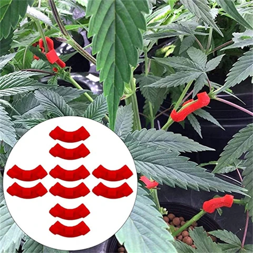 5Pcs/10pcs 90 Degree Plant Benders Trainer Growth ... – Vicedeal