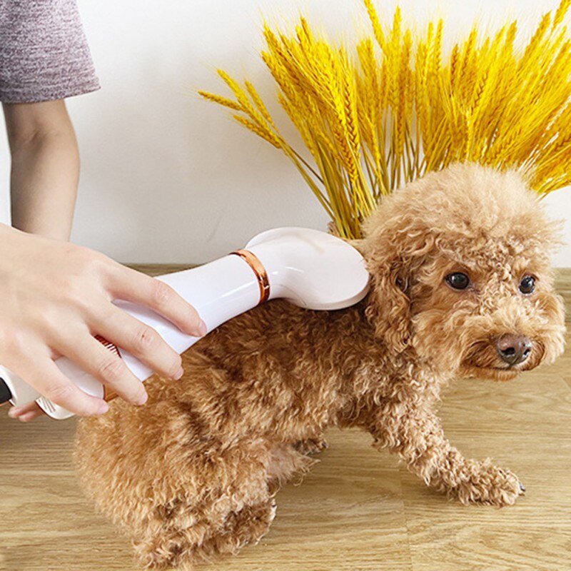 Huisdier Föhn En Kam Draagbare Home Pet Grooming F... – Grandado