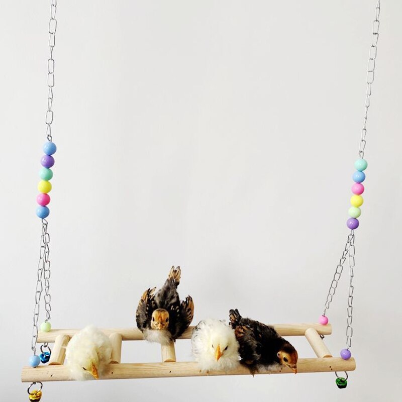 Chicken Wood Ladder Swing Perch Toy Hanging Stand ... – Grandado