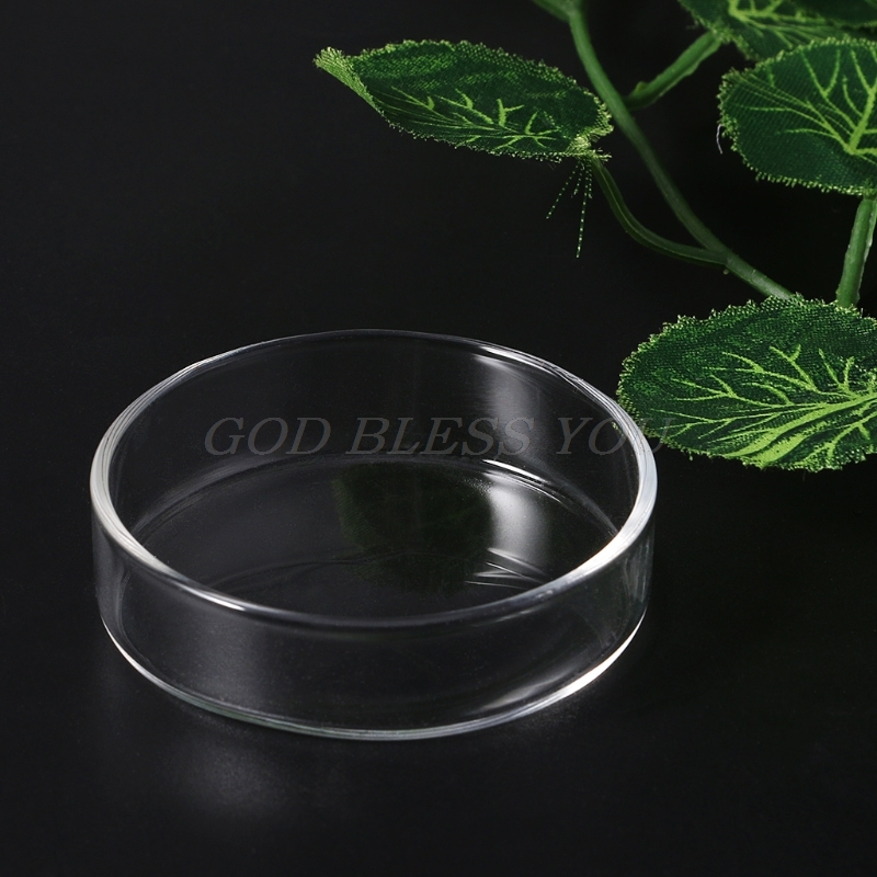 Clear Glass Shrimp Food Round Dishes Small Fish Fe... – Grandado