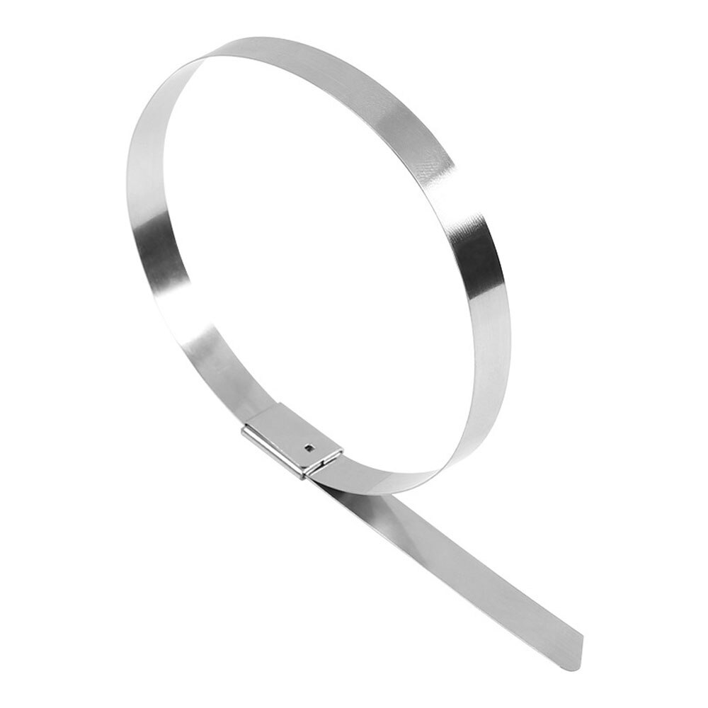 100Pcs 304 Rvs Zelfborgende Banding Tie Multifunct... – Vicedeal