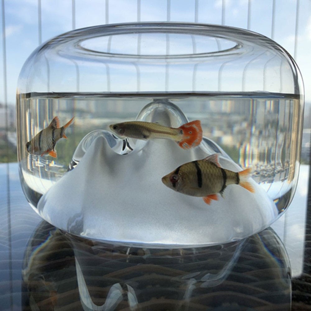 1pc Glass Transparent Fish Tank Rockery Adornment ... – Vicedeal
