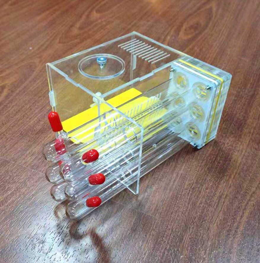18 Caliber 6 Test Tube Nest Ant Nest Ant Workshop ... – Vicedeal
