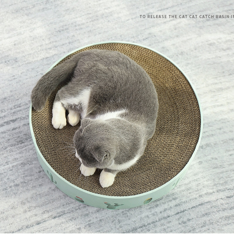 Bowl-shaped Cat Scratch Board Nail Scraper Mat Bed... – Vicedeal