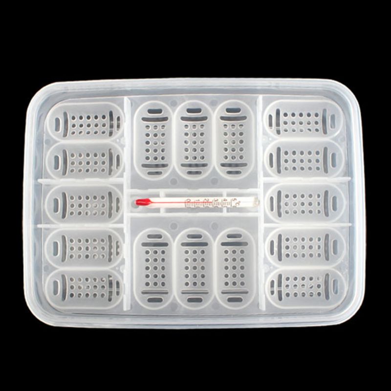 Reptile Egg Tray Snake Lizard Egg Hatching Incubat... – Grandado