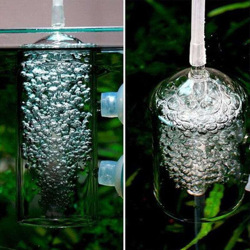 Exquisite Aquarium Bubbler Acrylic Cup With Suctio... – Grandado