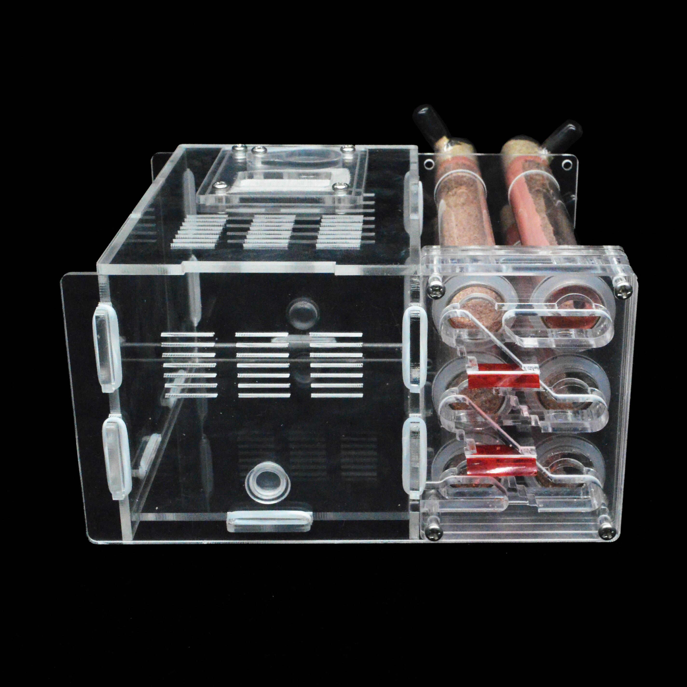 DIY ants farm house with Feeding Area Ant Nest Ins... – Grandado