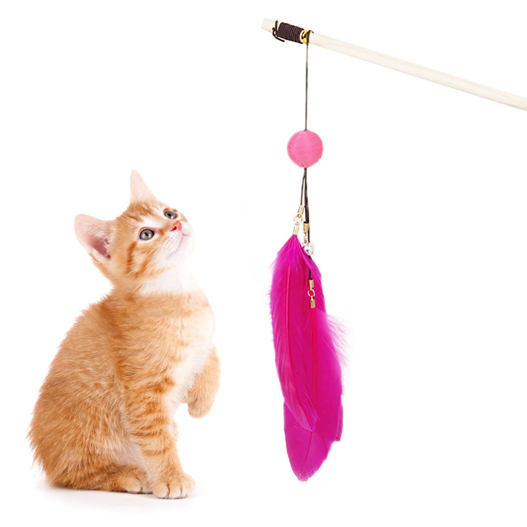 Cat Toy Pet Cat Teaser Kitten Wand Feather Interac... – Grandado