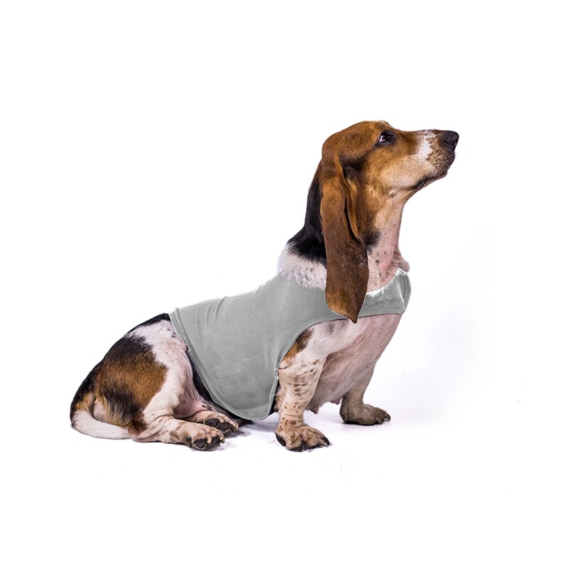 Pet supplies dog comfort clothes anti-anxiety over... – Grandado