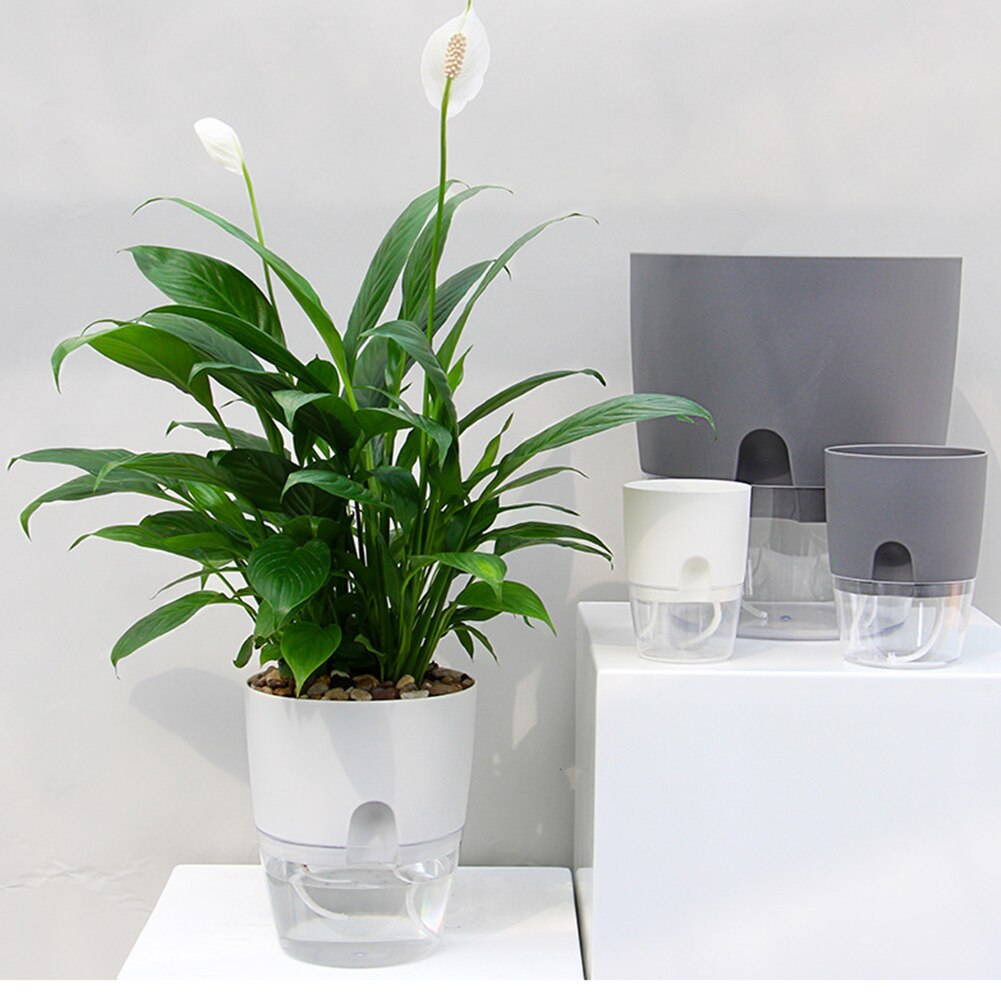 Watering Planter Plastic Clear Self Watering Flowe... – Grandado