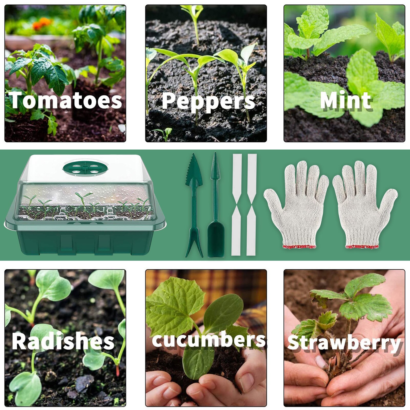 12 Hole Plastic Nursery Pots Planting Seed Tray Ki... – Grandado