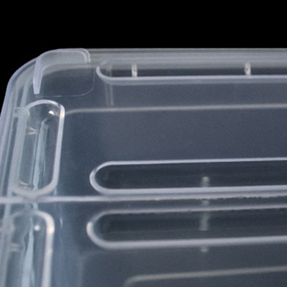 SALES！！ Transparent Plastic Amphibian Insect Repti... – Vicedeal