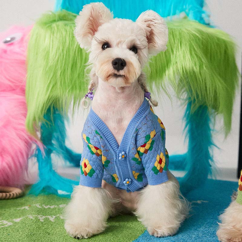 Pet clothes for autumn and winter Teddy Schnauzer ... – Grandado