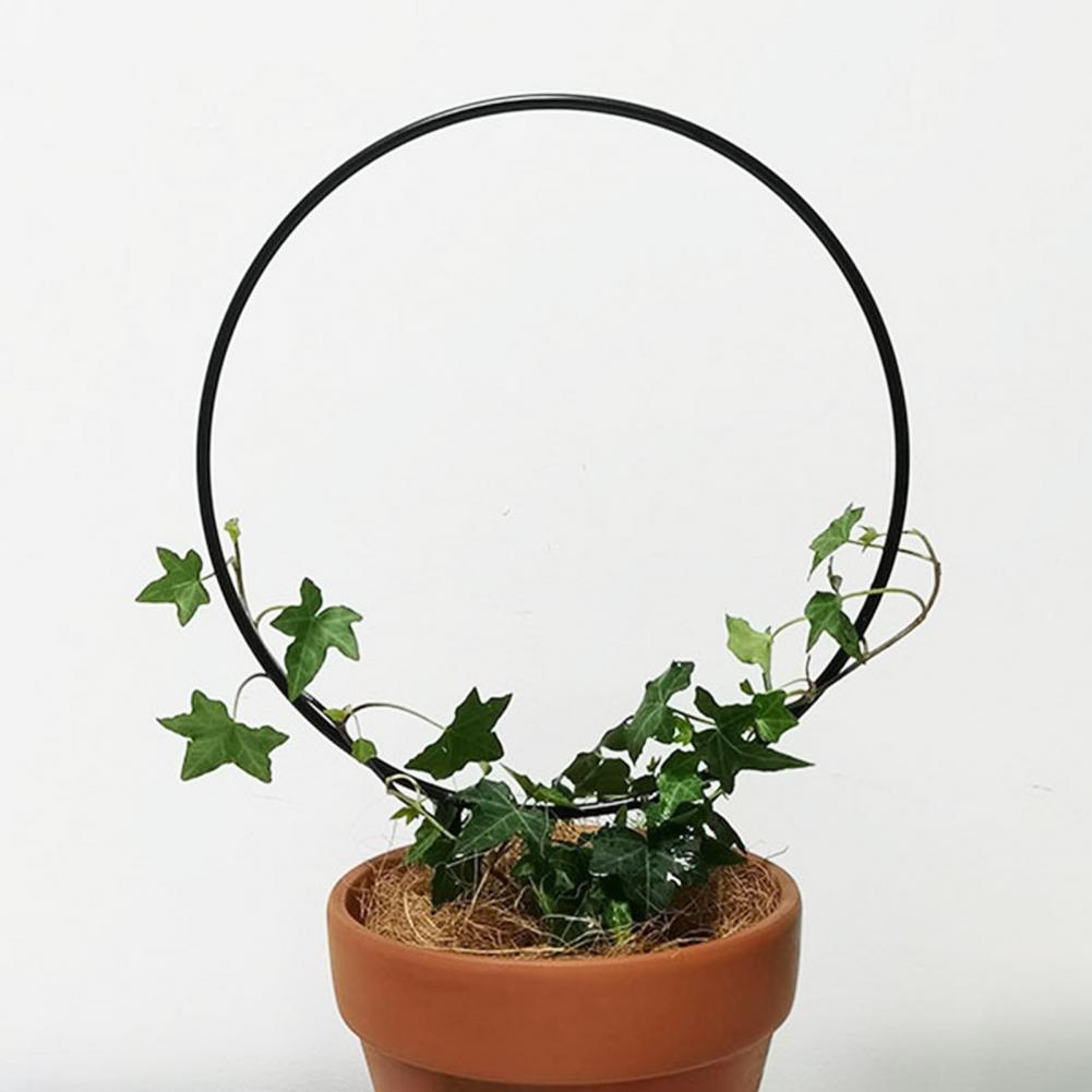 Garden Trellis Round Shaped Sturdy Iron Vines Indo... – Grandado