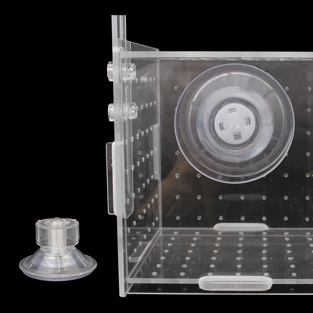 Acrylic Tropical Fish Breeding Box Production Box ... – Grandado