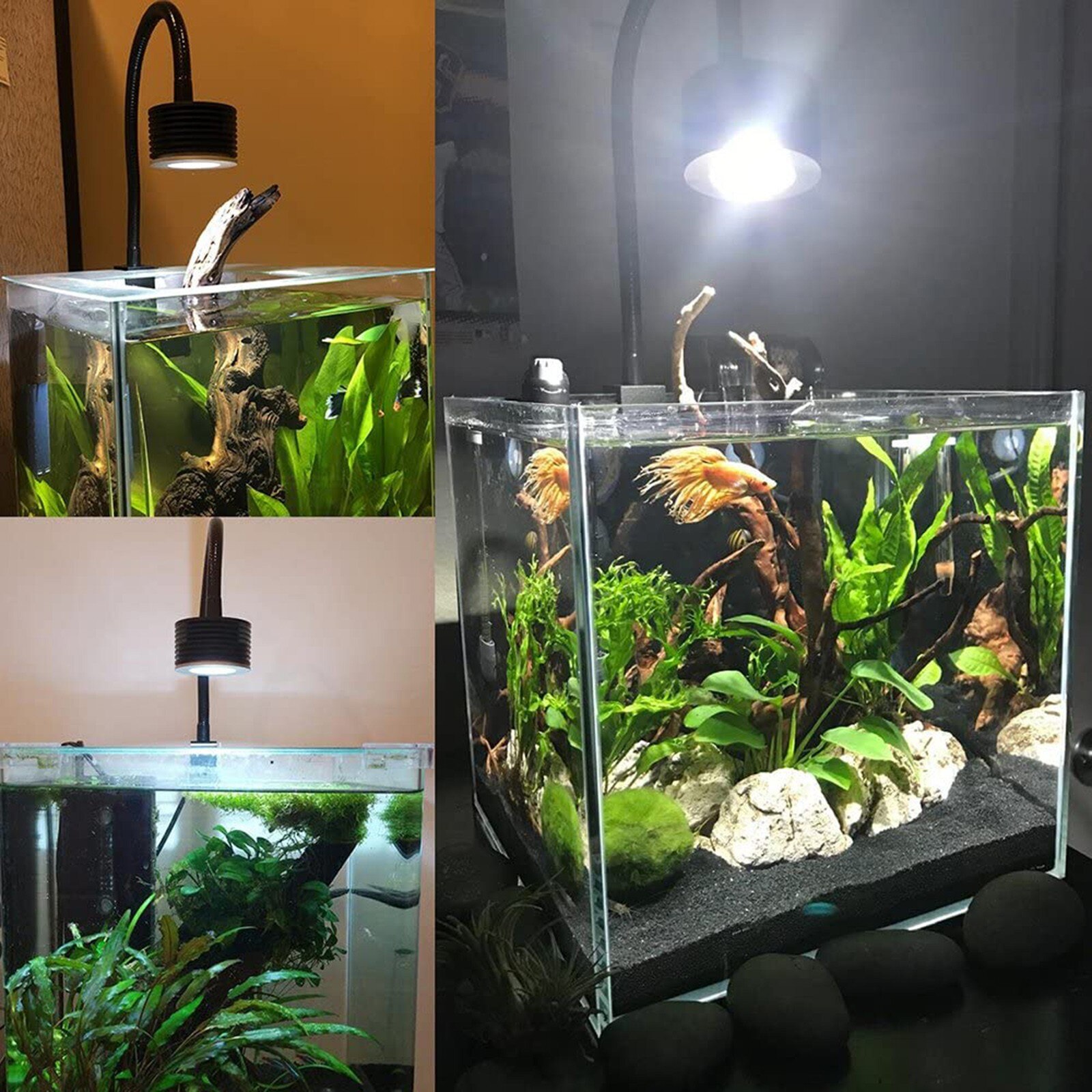 15w Led Lighting Dimmable Tank Lights With Goosene... – Grandado