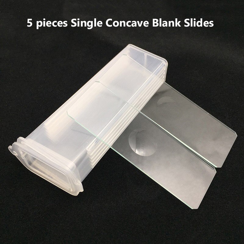 5 Pieces Blank Glass Slides Single Concave Double ... – Vicedeal