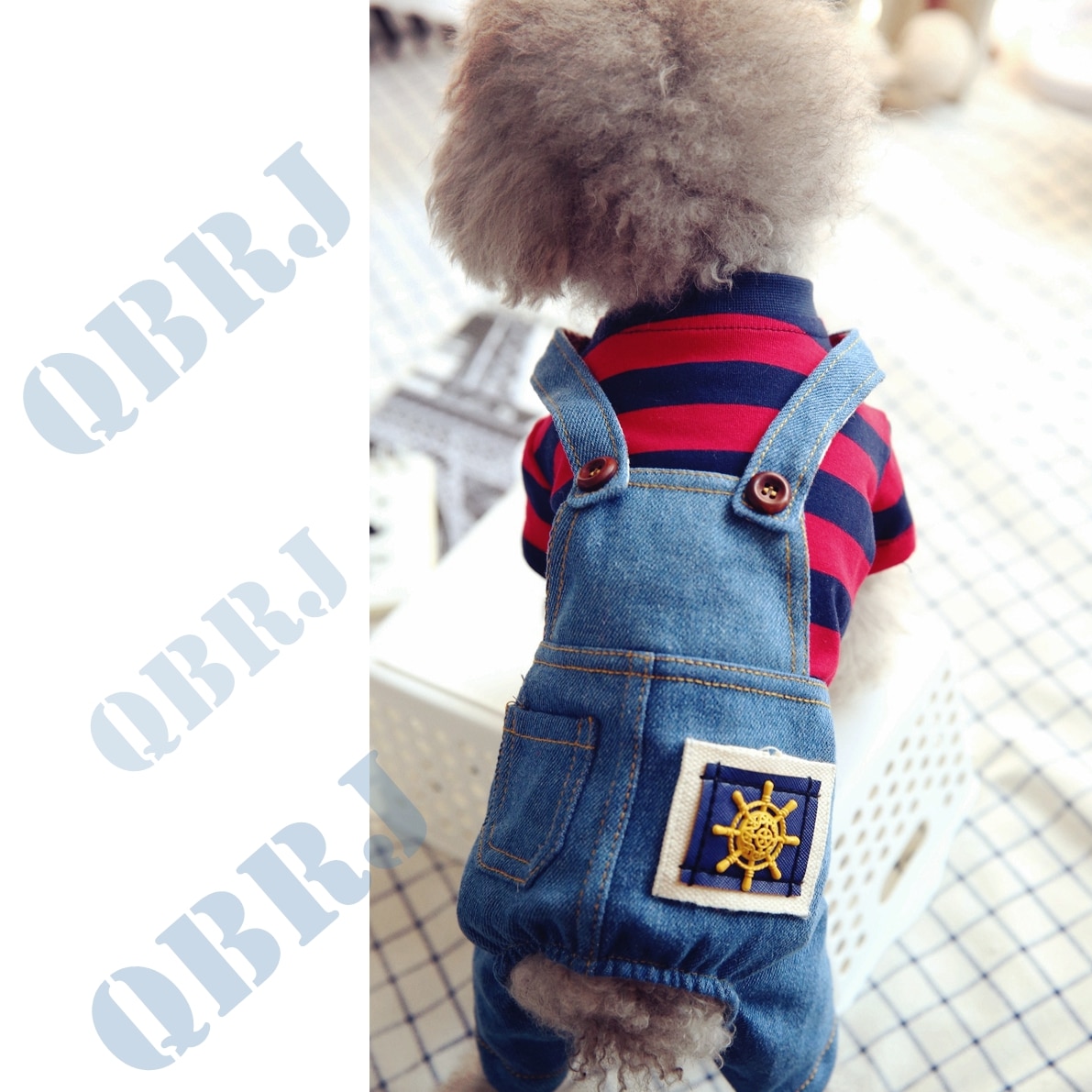 Knappe Ster Jeans Trousours Yorkshire Chihuahua Ho... – Grandado