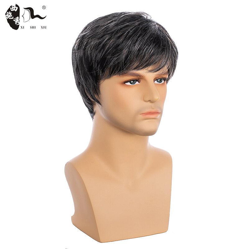 XISHIXIU HAIR Short Men Wig Straight Synthetic Wig... – Vicedeal