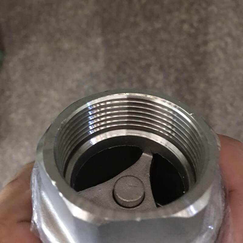 BSPT 1" DN25 Stainless Steel SS304 Check Valv... – Grandado