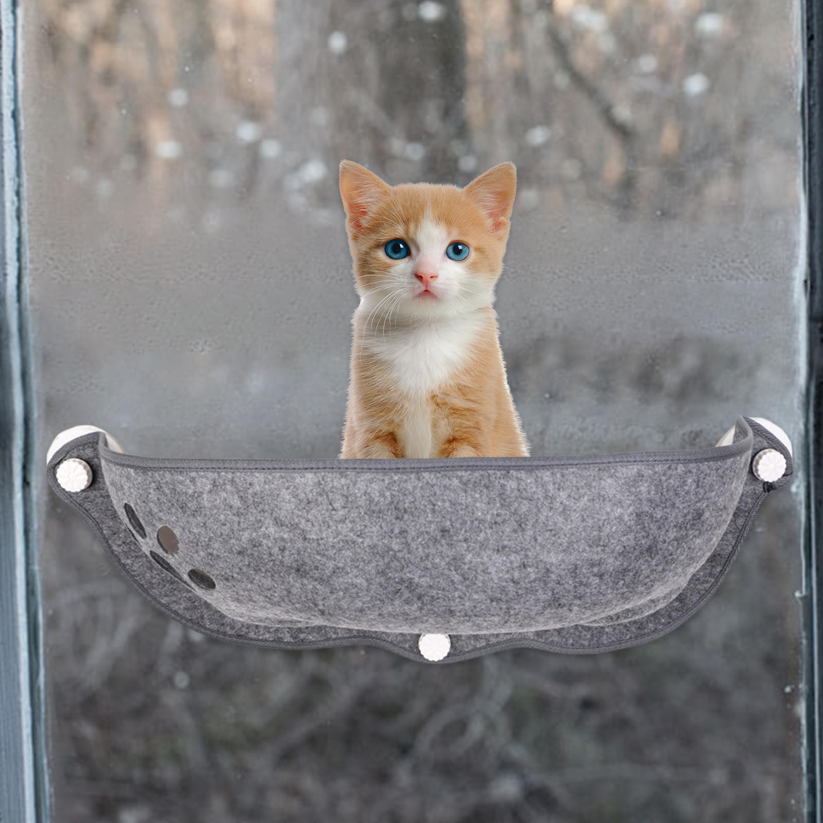Cat Window Mounted Bed Hammock with Suction Cups, ... – Grandado
