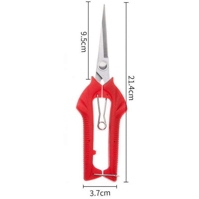 Plant Trim Horticulture Fruit Scissor Garden Hand ... – Grandado