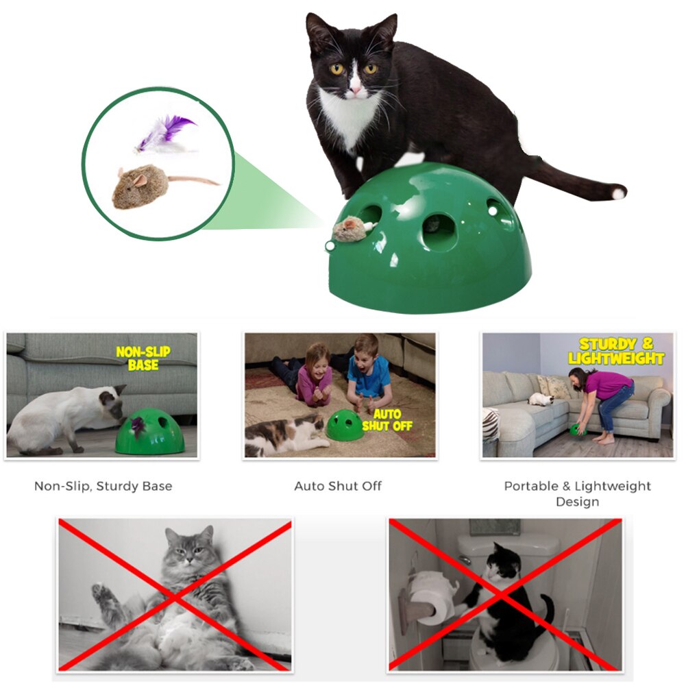 Funny Cat Toy Pop Play Pet Toy Ball Cat Scratching... – Grandado