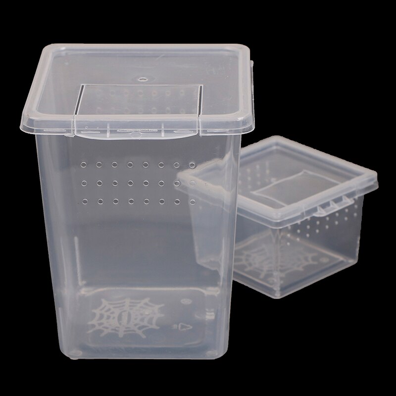 Plastic Insect Spider Habitat Feeding Box Case Con... – Vicedeal