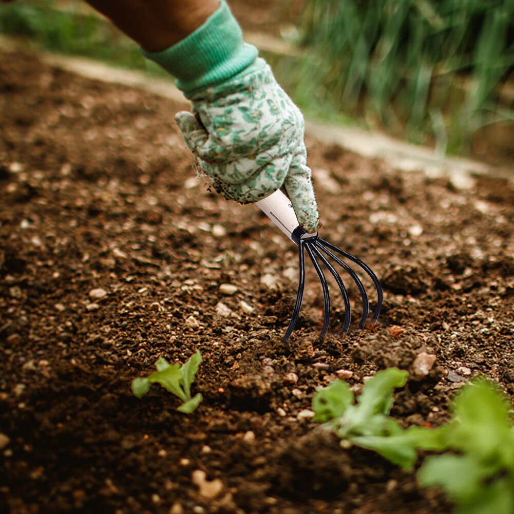 2pcs Garden Rake 5 Tine Claw Loosening Hand Cultiv... – Grandado