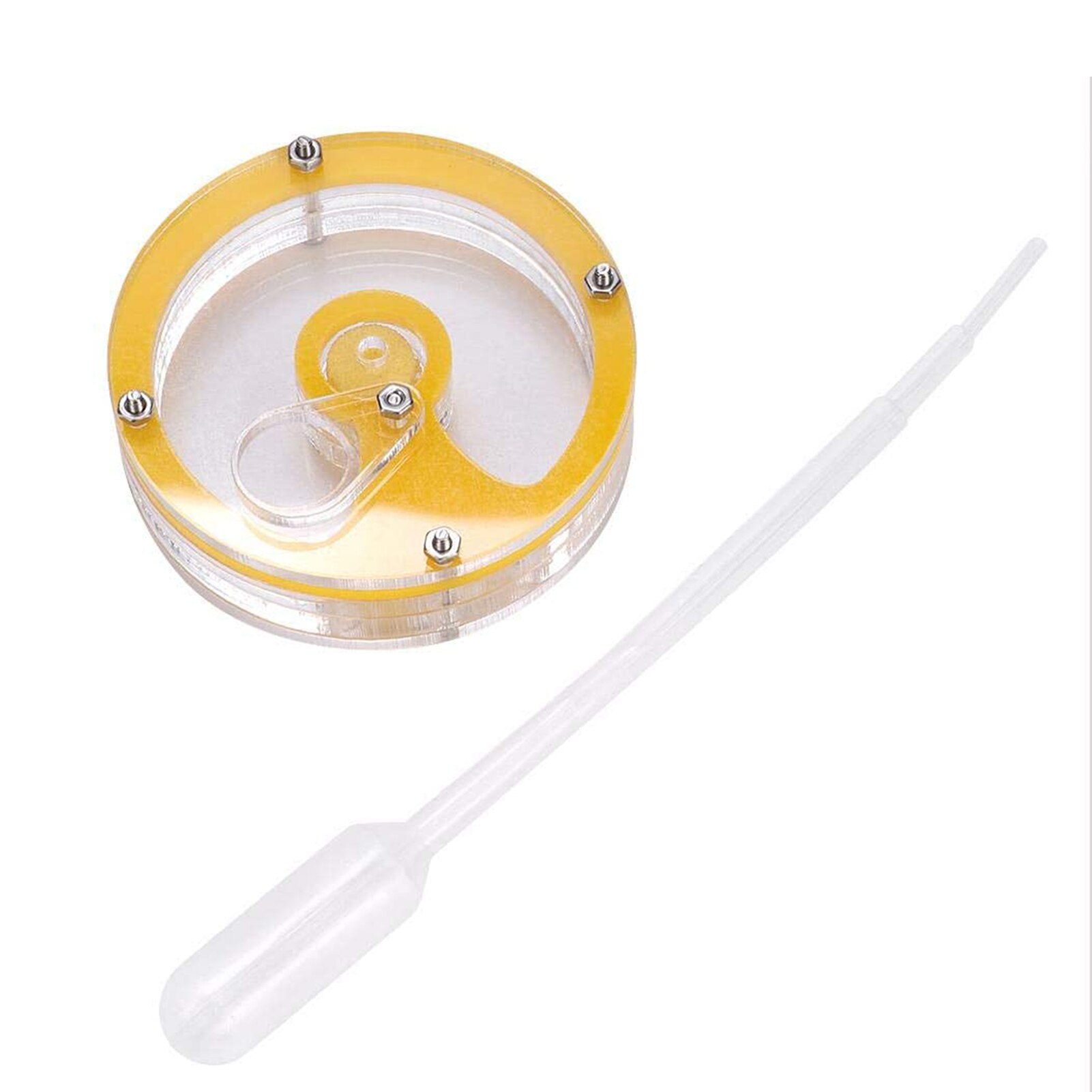 Ant Nest Farm Acrylic Insect Breeding Box Ant Form... – Vicedeal