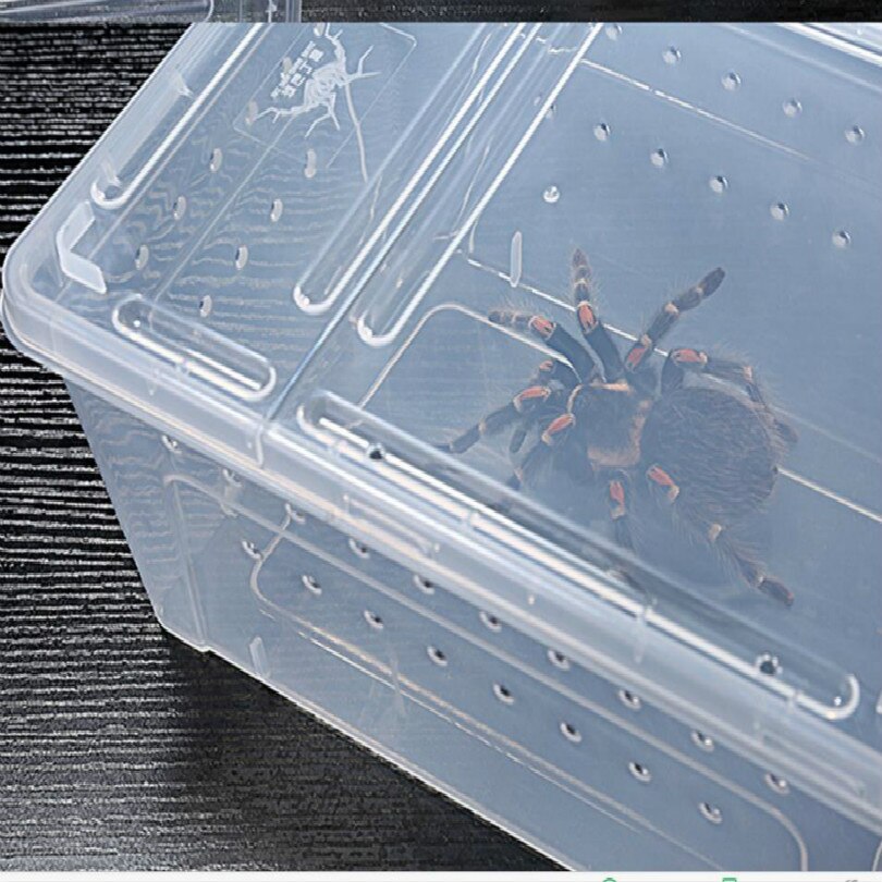 pet Feeding box Spider house frog farm insect turt... – Vicedeal