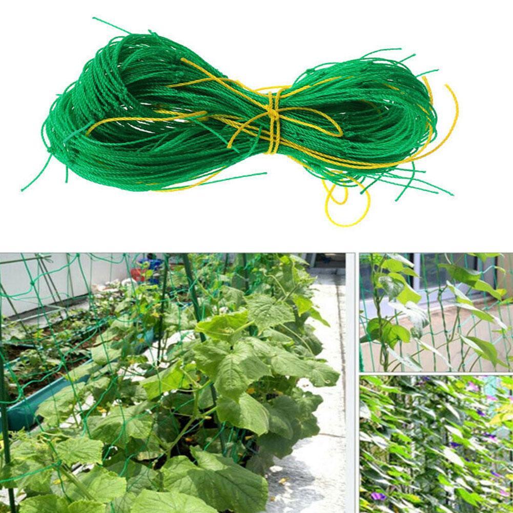 Plant Trellis Netting Pea Netting Green Garden Net... – Grandado