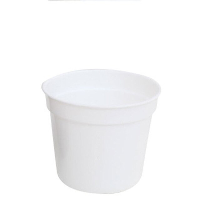 8X14.5X11 Cm Plastic Zaailingenplateau 12-Cellen T... – Vicedeal