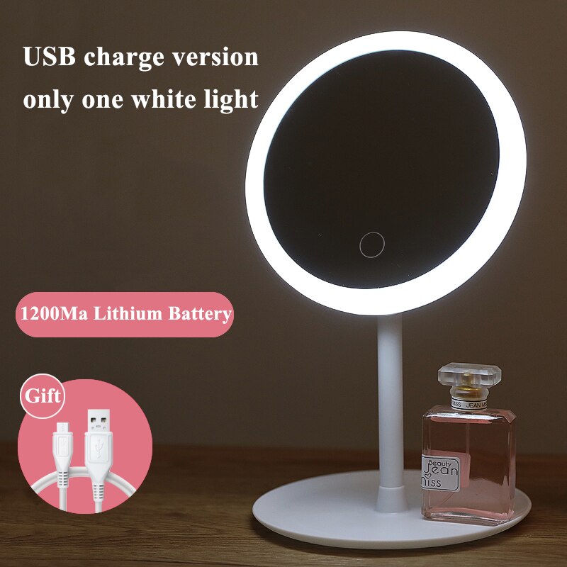 LED Makeup Mirror With Light Ladies Storage Makeup... – Vicedeal