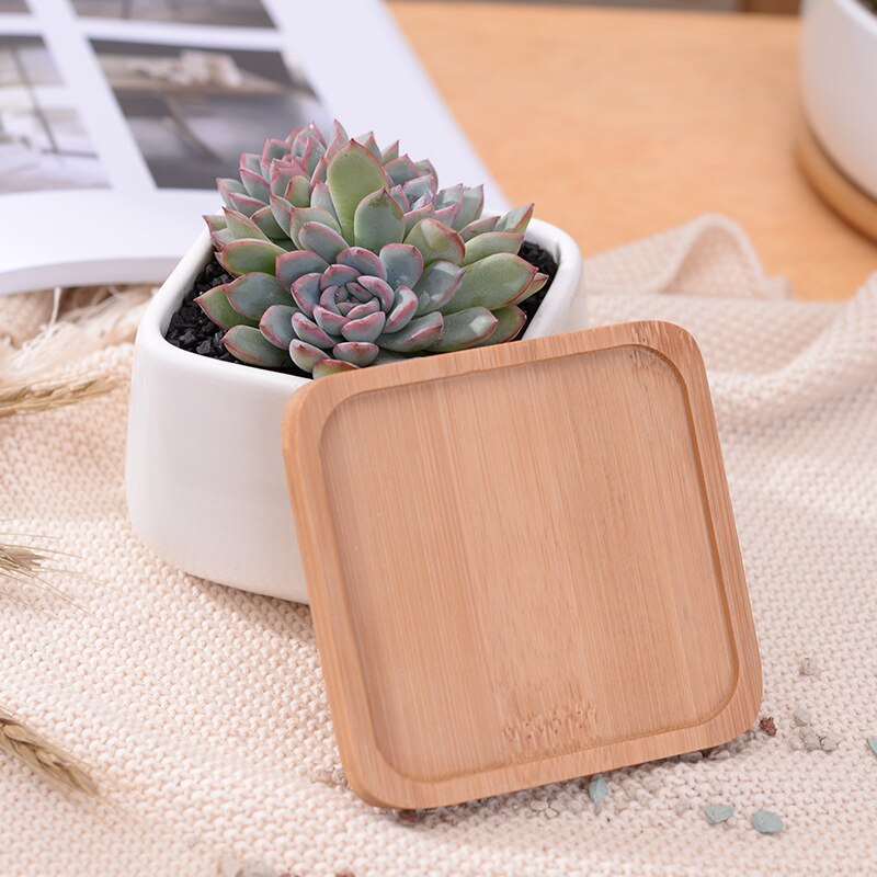 3 Flower Pot Holder Fleshy Bonsai Pad Bamboo Tray ... – Grandado