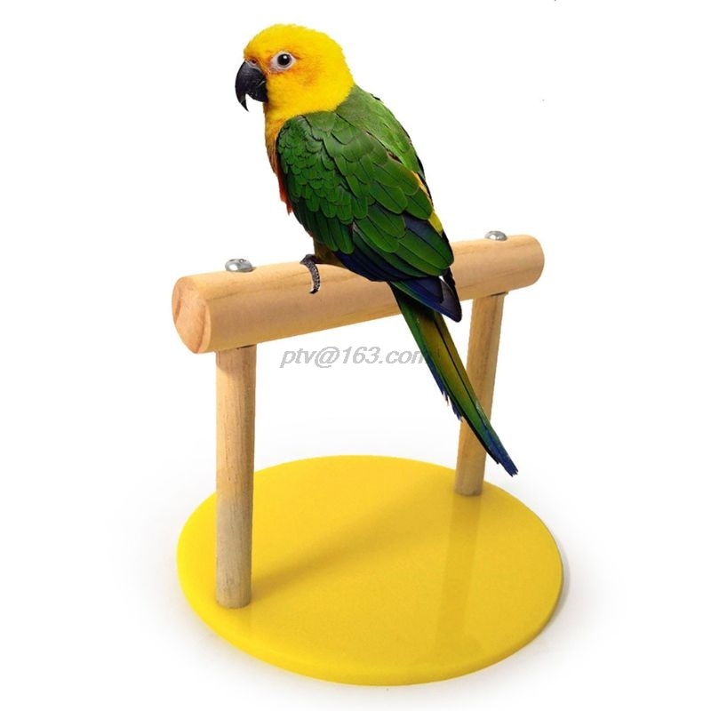 Parrot Wooden Tabletop Perch with Acrylic Base Sma... – Grandado