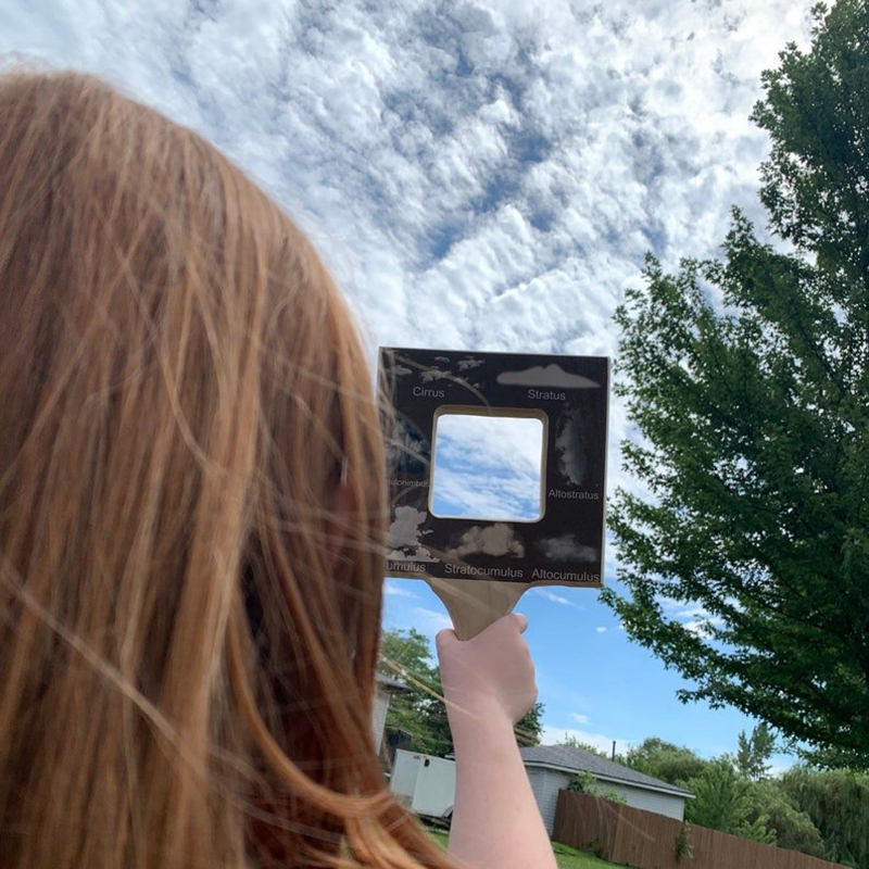 Double-side Leaf Finder Cloud Viewer Identificatio... – Grandado