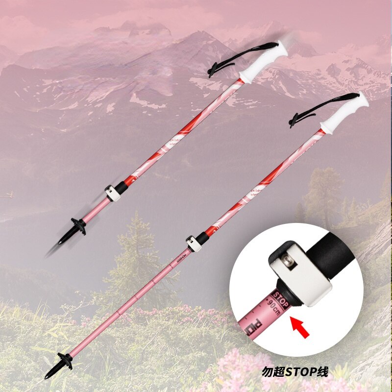 Pioneer 2 Pcs Ultralight Kids Hiking Walking Stick... – Grandado