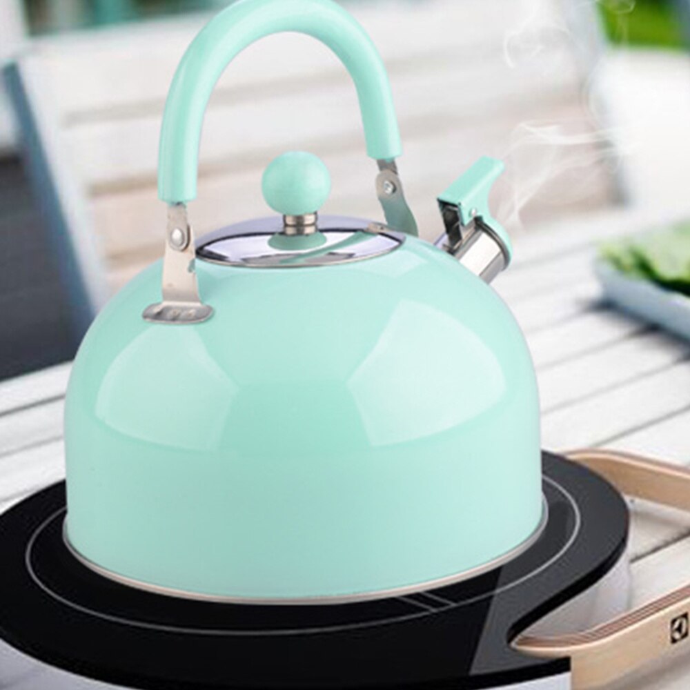 1PC Non-magnetic Teakettle Stainless Steel Soundin... – Grandado