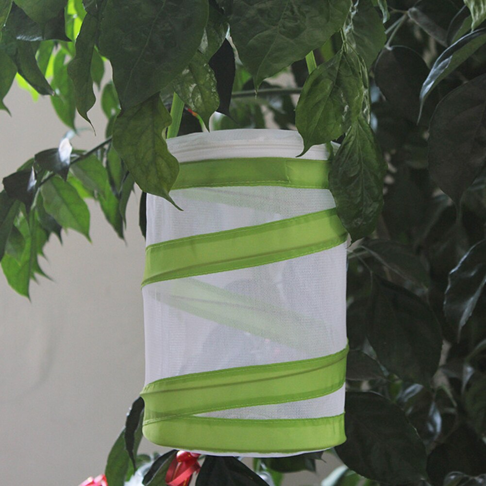 Insect Cage Terrarium Garden Housing Zipper Portab... – Grandado
