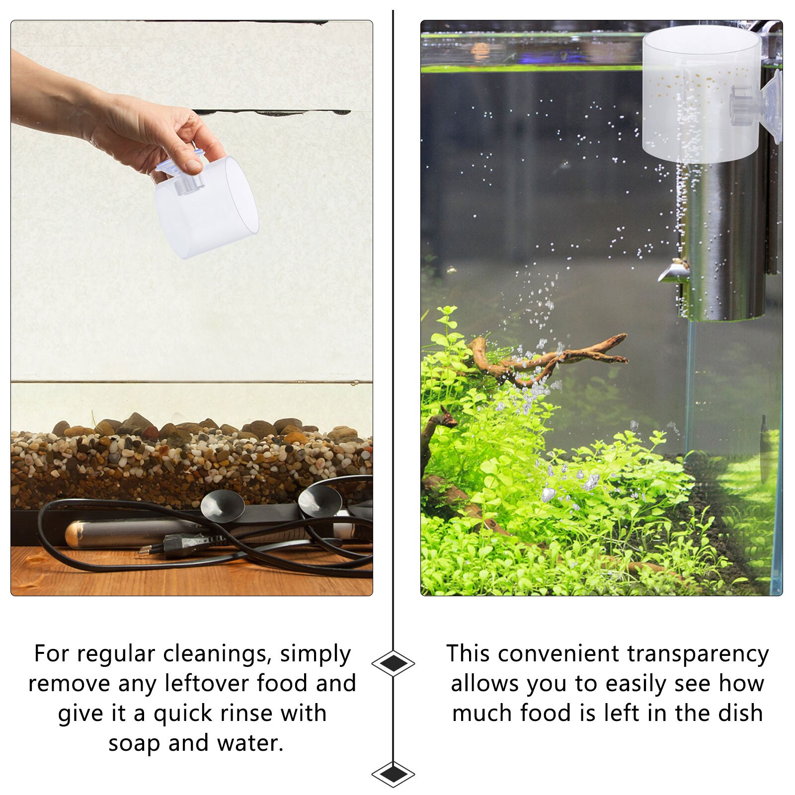 3PCS Fish Feeding Circle Suction Cup Fixed-Point F... – Grandado