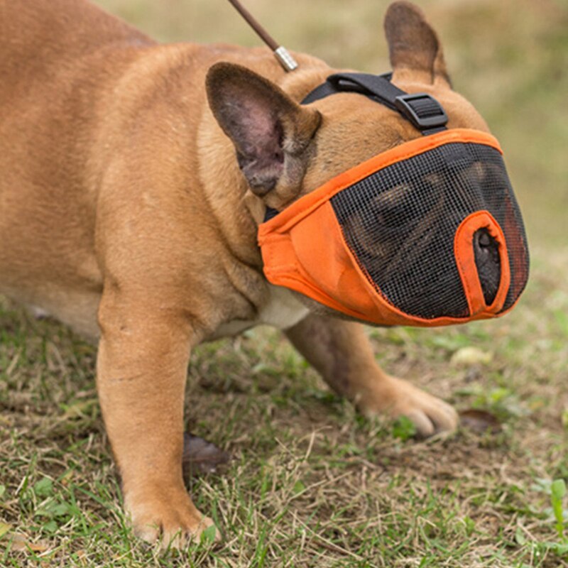 Dog Muzzle for Short Snout Dogs Breathable Mesh Ma... – Vicedeal