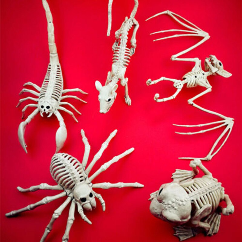 Halloween Skelet Kat Hond Muis Prop Animal Botten ... – Vicedeal