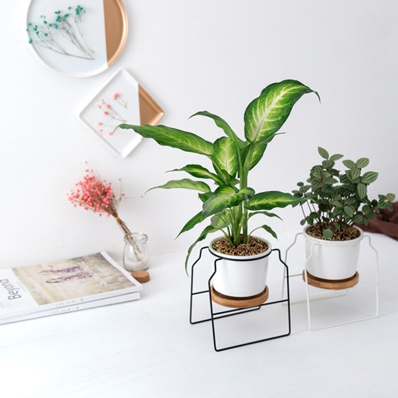 Modern Nordic Succulent Planter Stand Ceramic Flow... – Vicedeal