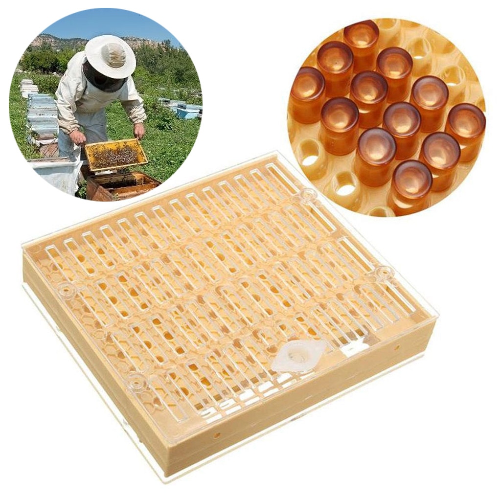 Beekeeping Complete Cell Cup kit Cultivating Box C... – Vicedeal
