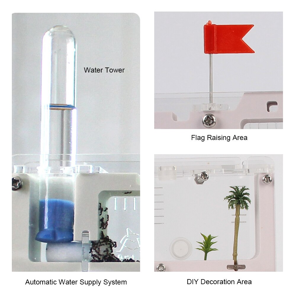 Ant Sand Castle Nest Acrylic Box Anthill Workshop ... – Grandado
