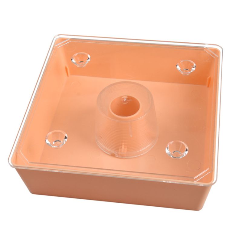 European Style Square Bee Feeder Honey Food Feedin... – Grandado